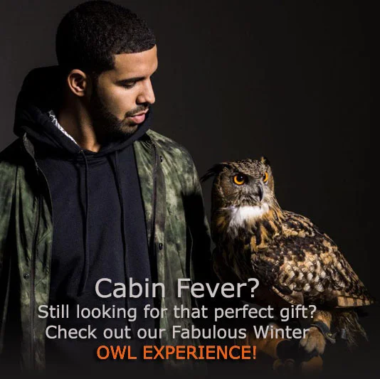 frequently asked questions about owls. l 416 429-5393