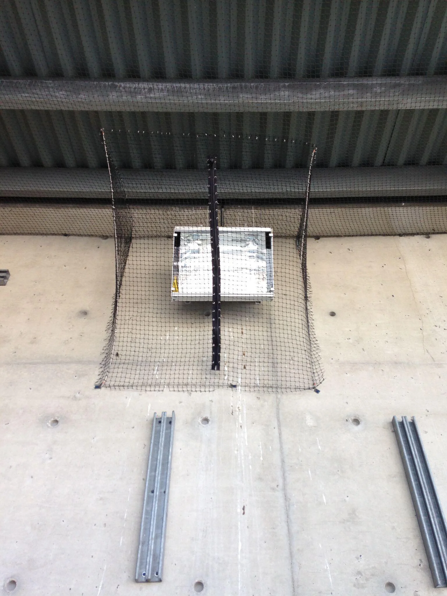 ️Starlings Control and Removal Solutions | (416) 429-5393